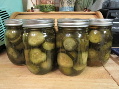 Company Best Pickles (Sweet German Pickles) – The Chicken and the Egg ...